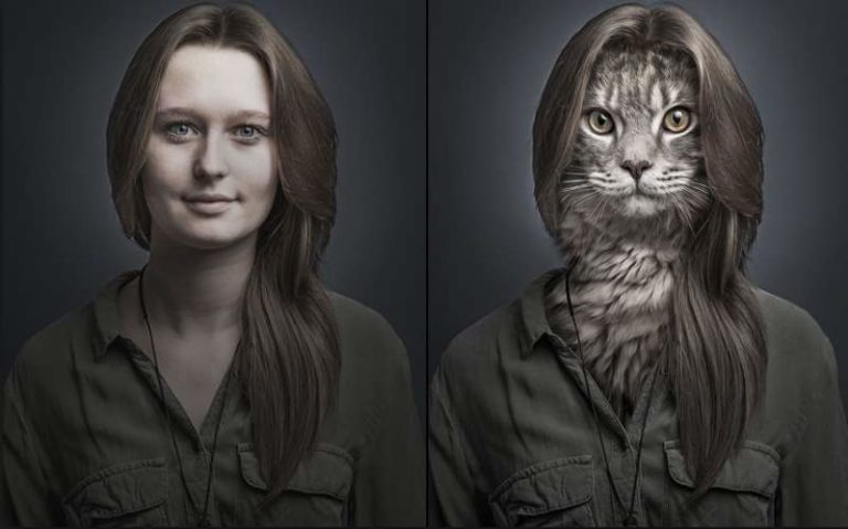 How do cats see humans - Lotto the Cat